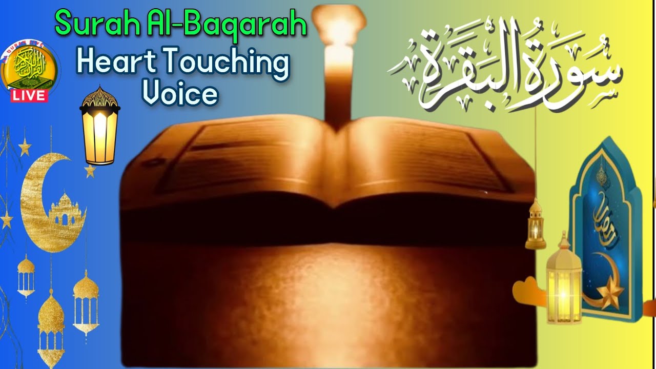Surah Al Baqarah full by Sheikh Mishary Al Afasy Quick Recitation سورة