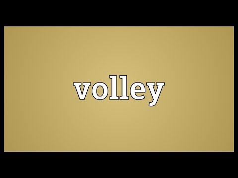 Volley Meaning
