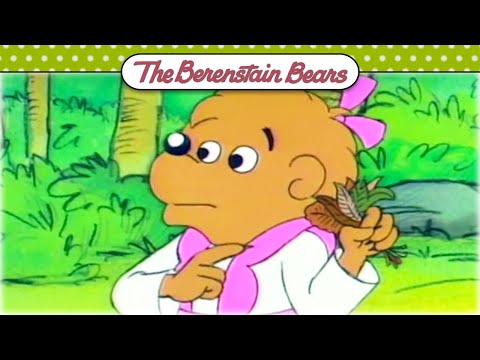 The Nature Study Contest 🦎Berenstain Bears Official