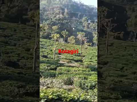 My Native place kotagiri to sholurmattam😍🥰😍