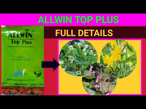 Boron Fertilizer at Best Price in India