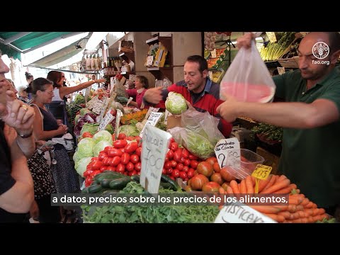 Herramienta de seguimiento y análisis de los precios alimentarios (FPMA) |Versión actualizada
