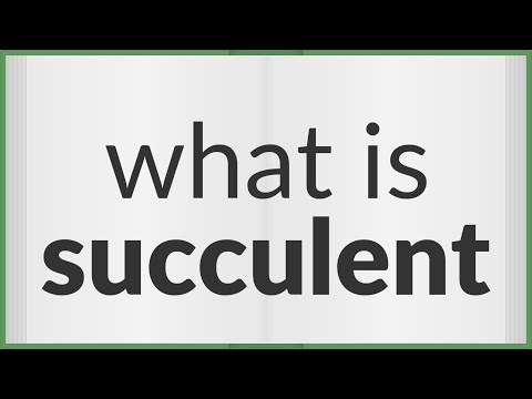 Succulent | meaning of Succulent