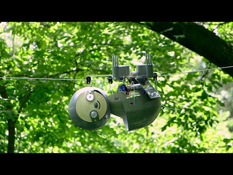 11 Weird Robots That Truly Delight Us | Coolest Robots 2022
