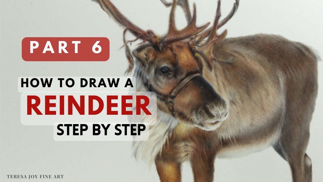 How to Draw a Reindeer PART 6. Step by Step, Colour Pencil, Animal Portrait Tutorial