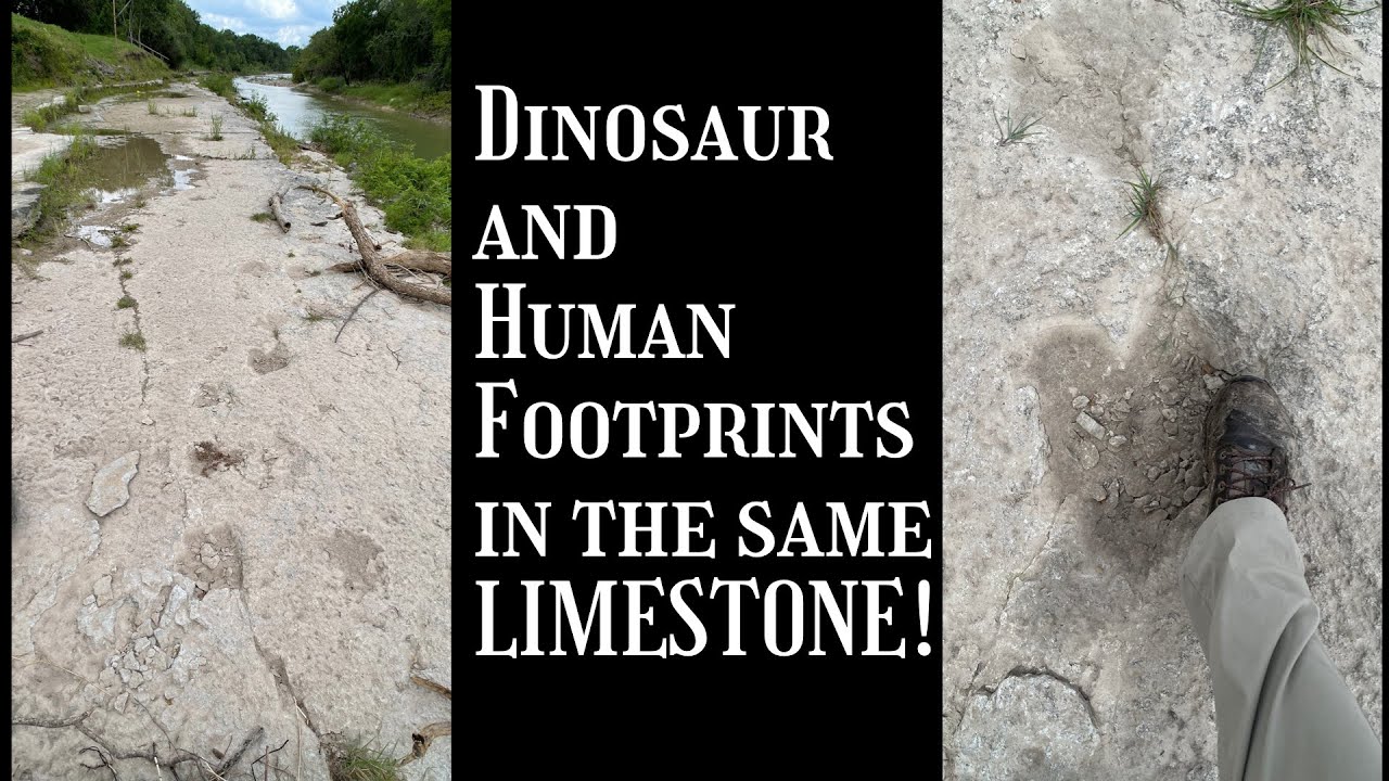 Human Footprint near Dinosaur Tracks - How a Footprint gets Fossilized