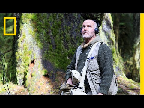 He Hears Music in the Quietest Place on Earth—Can You? | Short Film Showcase