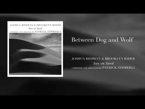 JOSHUA REDMAN discography (top albums) and reviews