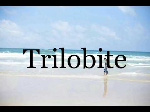 How To Pronounce Trilobite🌈🌈🌈🌈🌈🌈Pronunciation Of Trilobite