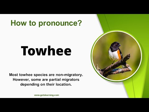 How to pronounce Towhee in English correctly