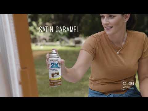 Rust-Oleum Painter's Touch 2X Ultra Cover 12 Oz. Satin Paint + Primer ...