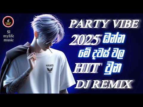 Dj remix | party vibe | 2025 new dj song | කන පැලෙන්න අහන්න mix fire 😍 | @slmylifemusic