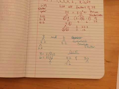 Factor Trees to find the Prime Factorization