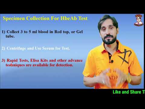 HbeAb Test | Hepatitis B Envelope Antibody