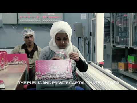 SDG Investing