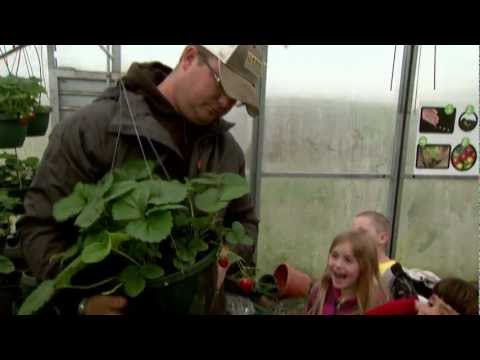 Food from the Farm (MU Extension)