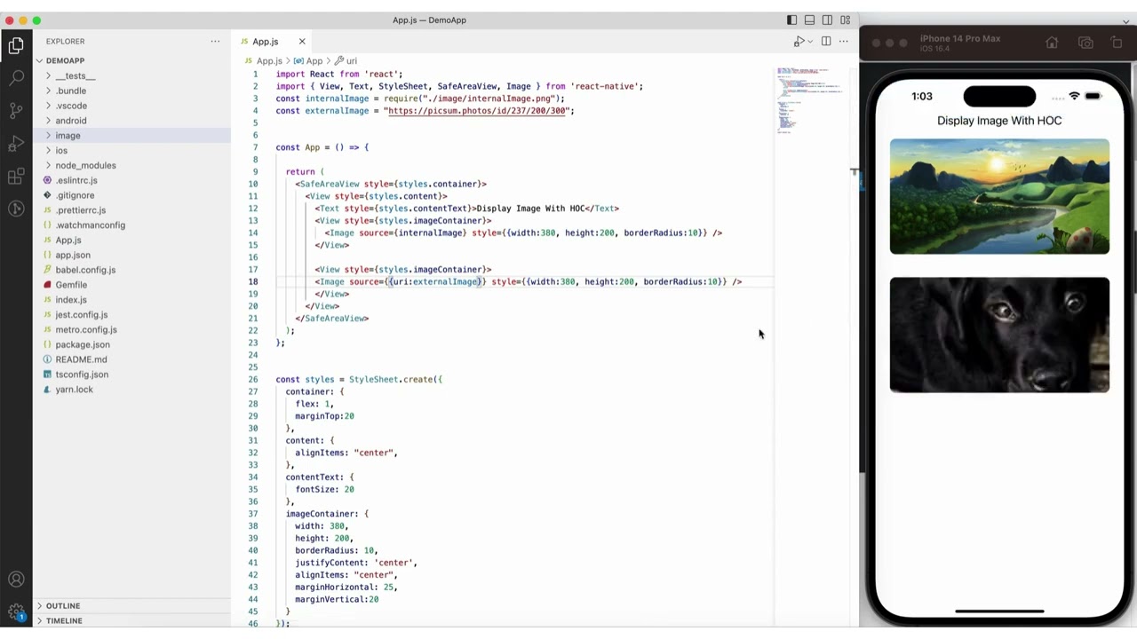 Optimizing Image Display in React Native || Boost Performance with HOC