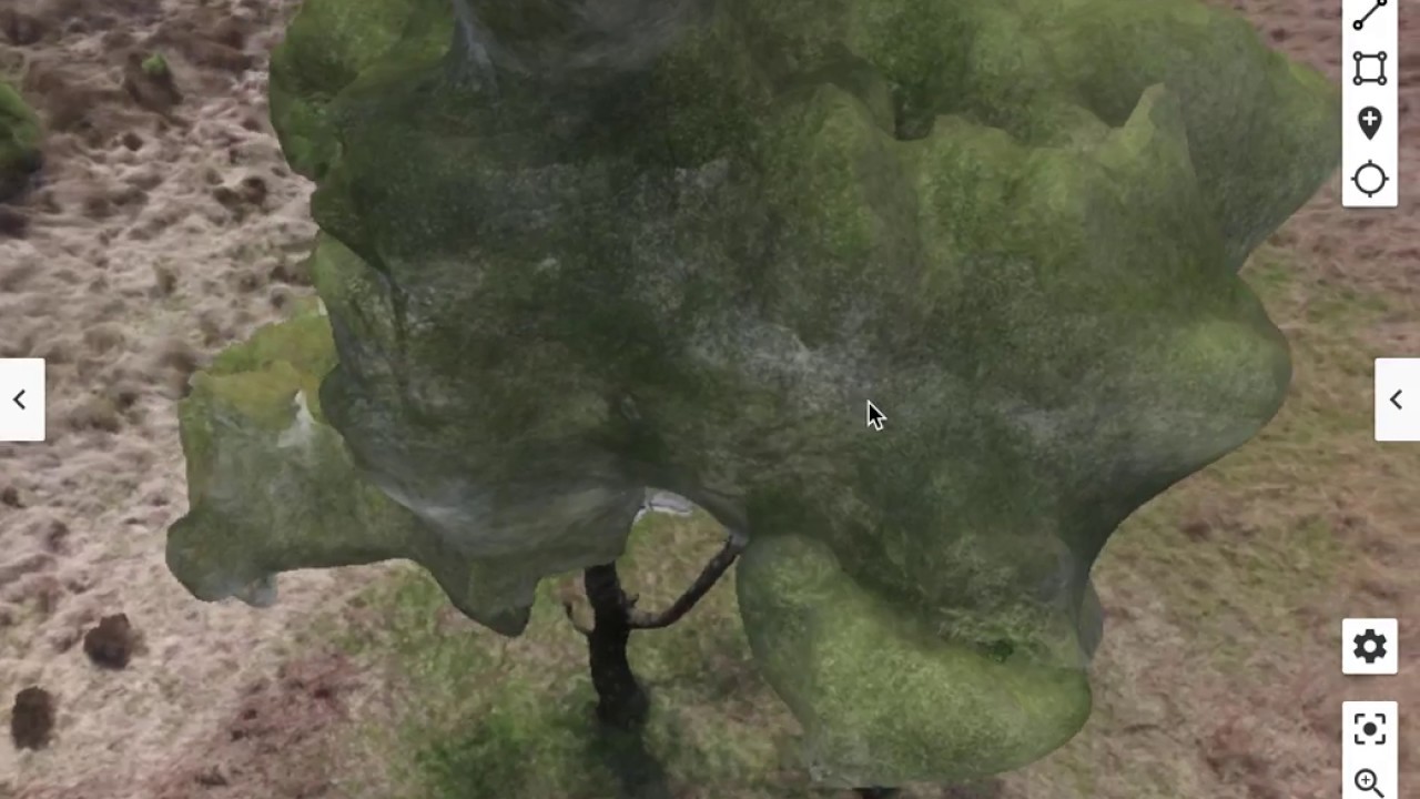 3D model of a tree using a drone
