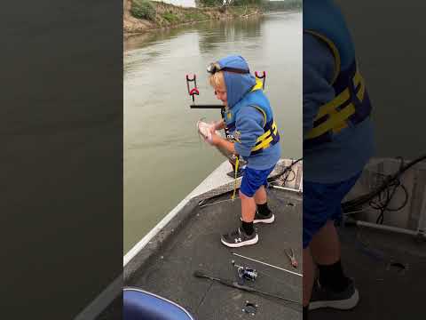His 1st channel cat of 2025! #grandpasneverdie #baitfishing #missouririver #pals