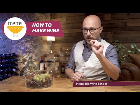 How to make Wine | Wine school with Filippo Bartolotta