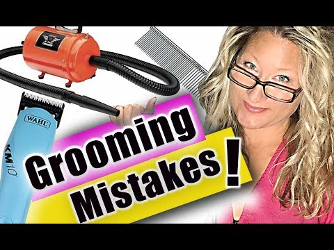 Mistakes you make when GROOMING your DOG!