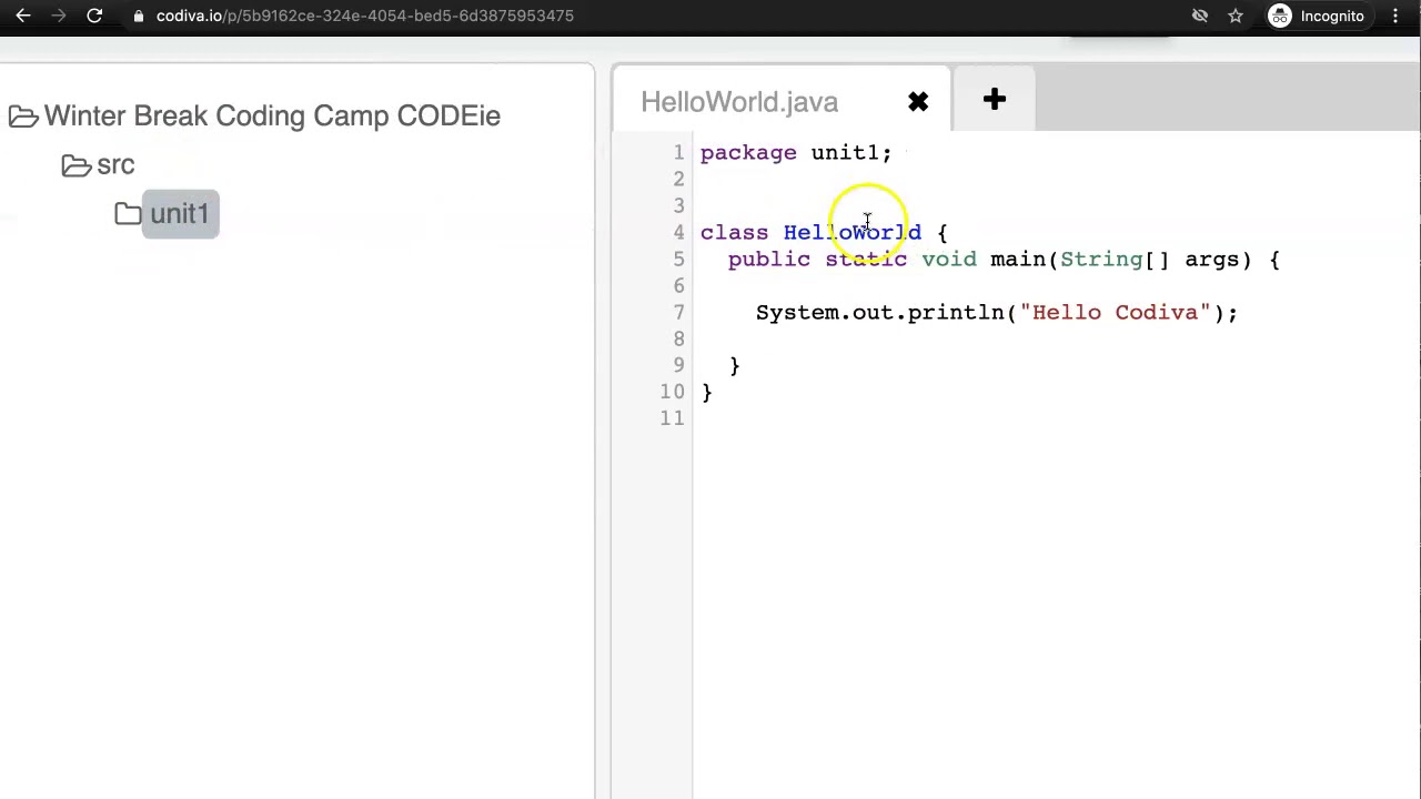 Java #2 Setting up Codiva.io