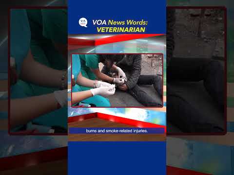 News Words: Veterinarian