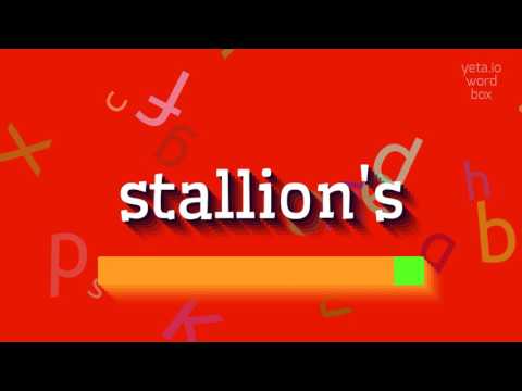 How to say "stallion's"! (High Quality Voices)