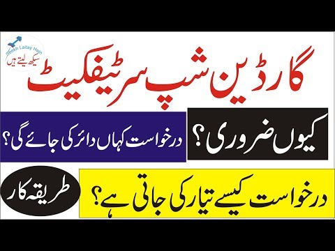 Guardianship certificate in Pakistan by seekh laitay hain in urdu / hindi