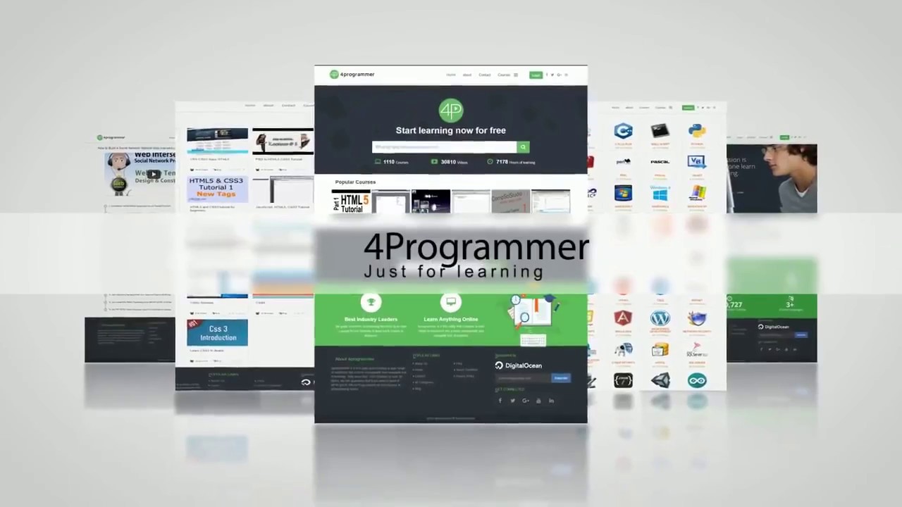 the best website to learn programming  for free ( 4programmer.com )