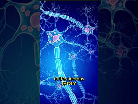 Neurologist facts! Like and subscribe for more!