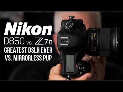 Nikon Z7 II vs D850: The long term play (1653)