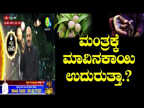 Does Chanting Mantras Really Work? | Nakshatra Nadi by Dr. Dinesh | 19-05-2021