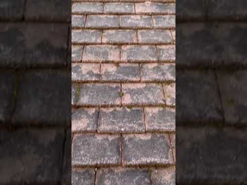 Roof cleaning & biocide treatment - EXTREMELY MOSSY! 📸