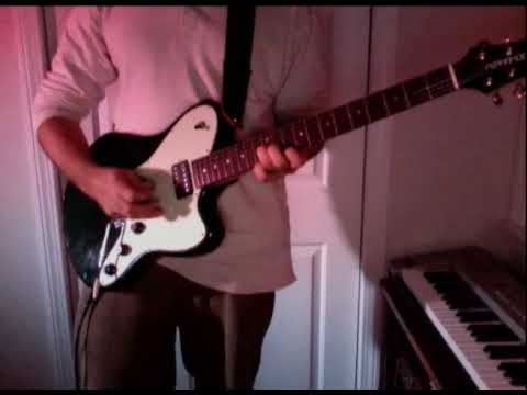 Fernandes Native Pro - Artists Using It | Equipboard