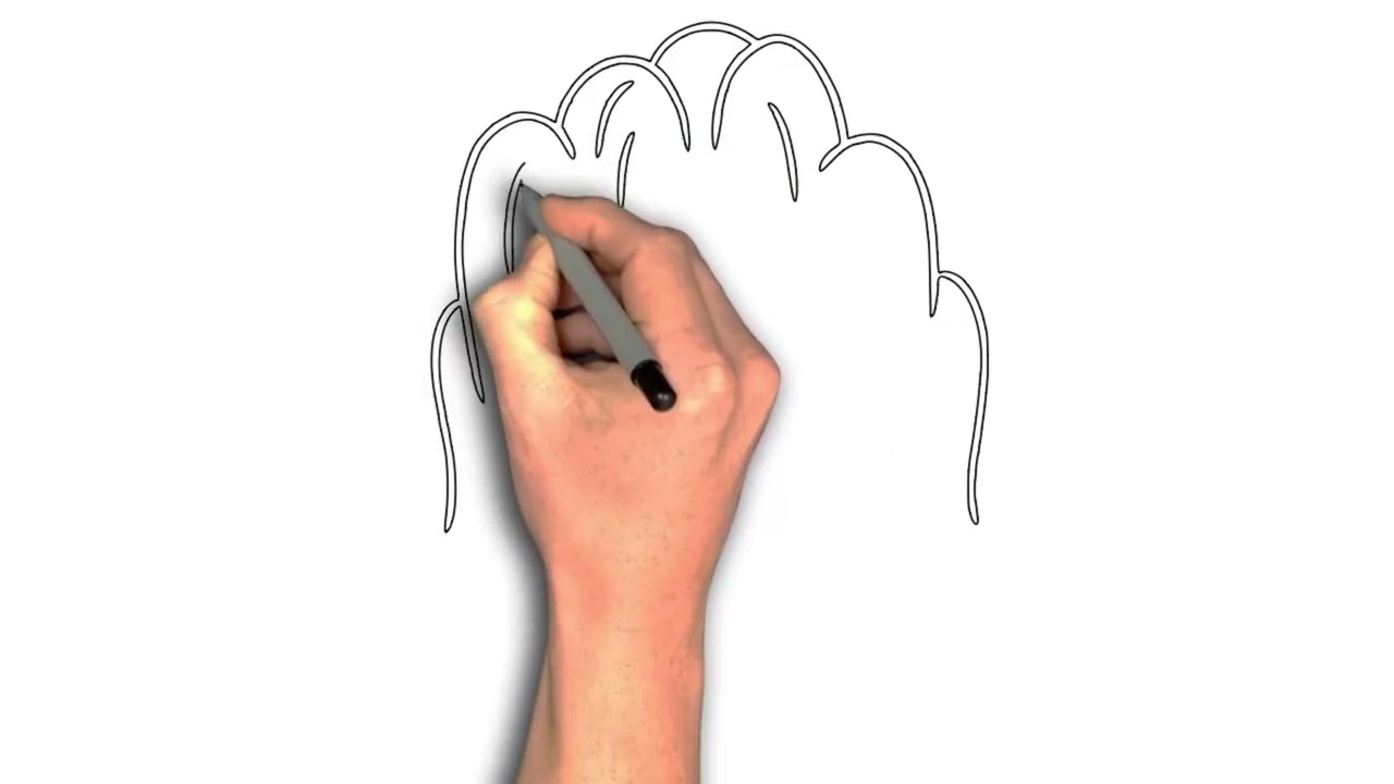 “How to Draw a Weeping Willow Tree: Step-by-Step Guide”