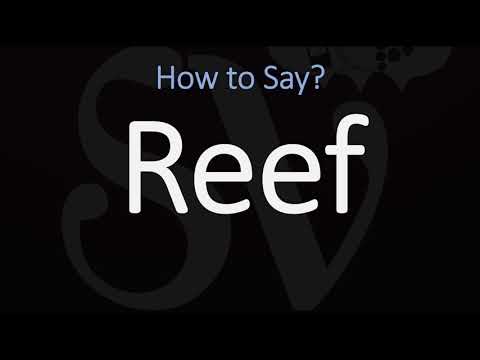 How to Pronounce Reef? (CORRECTLY) Meaning & Pronunciation