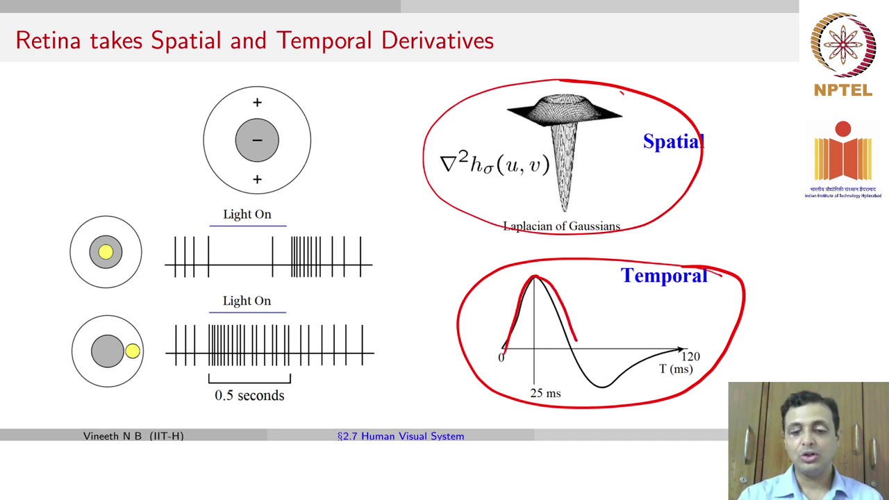 Human Visual System Deep Learning for Computer Vision