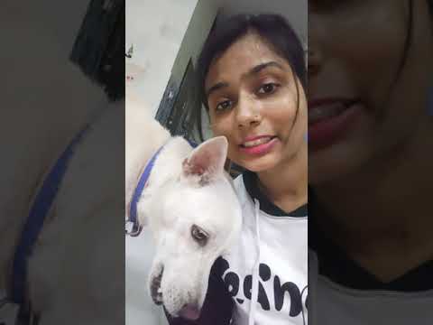 How to say डोरे डालना in english | short english sentences | english word meaning in hindi |#short31