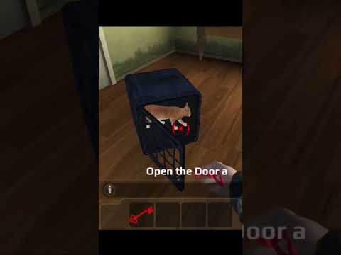how to solve Free The Cat #SCARYTEACHER#3D