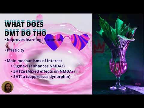 DMT: FRYING YOUR BRAIN (kinda)