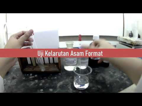 KOL LAB 5 A Kelarutan dan Uji Kualitatif Asam Format