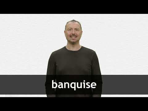 English Translation of “BANQUISE” | Collins French-English Dictionary