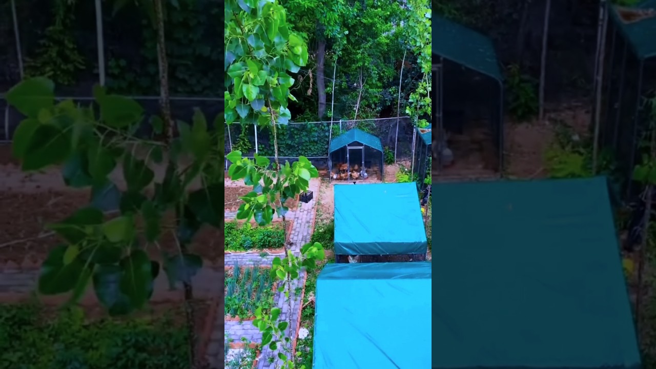 Amazing Integrated Farm Design