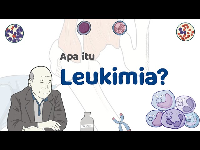 Understanding Leukemia: Symptoms, Types, and Treatments | Galaxy.ai