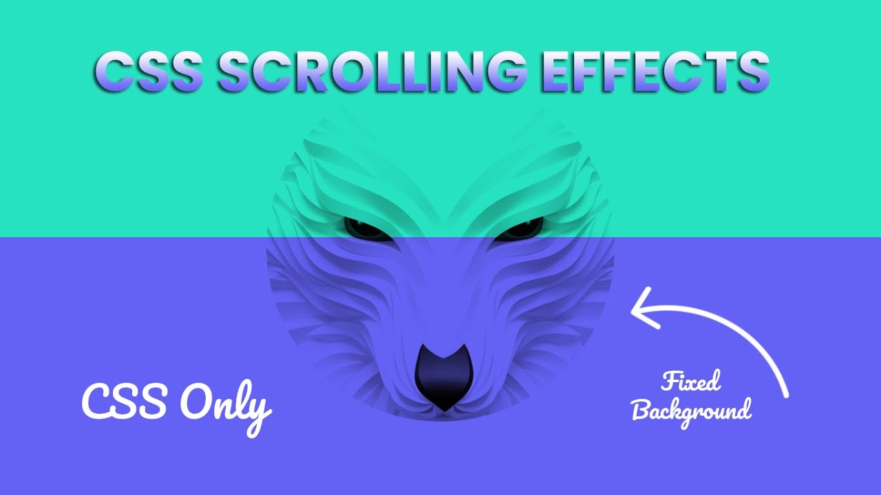 CSS Fixed Background Scrolling Effects | CSS Scrolling Effect @codehal