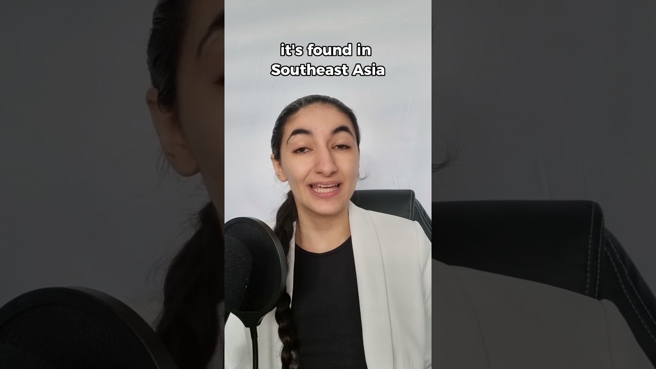 ☠️Paralyis or death by mosquito bite