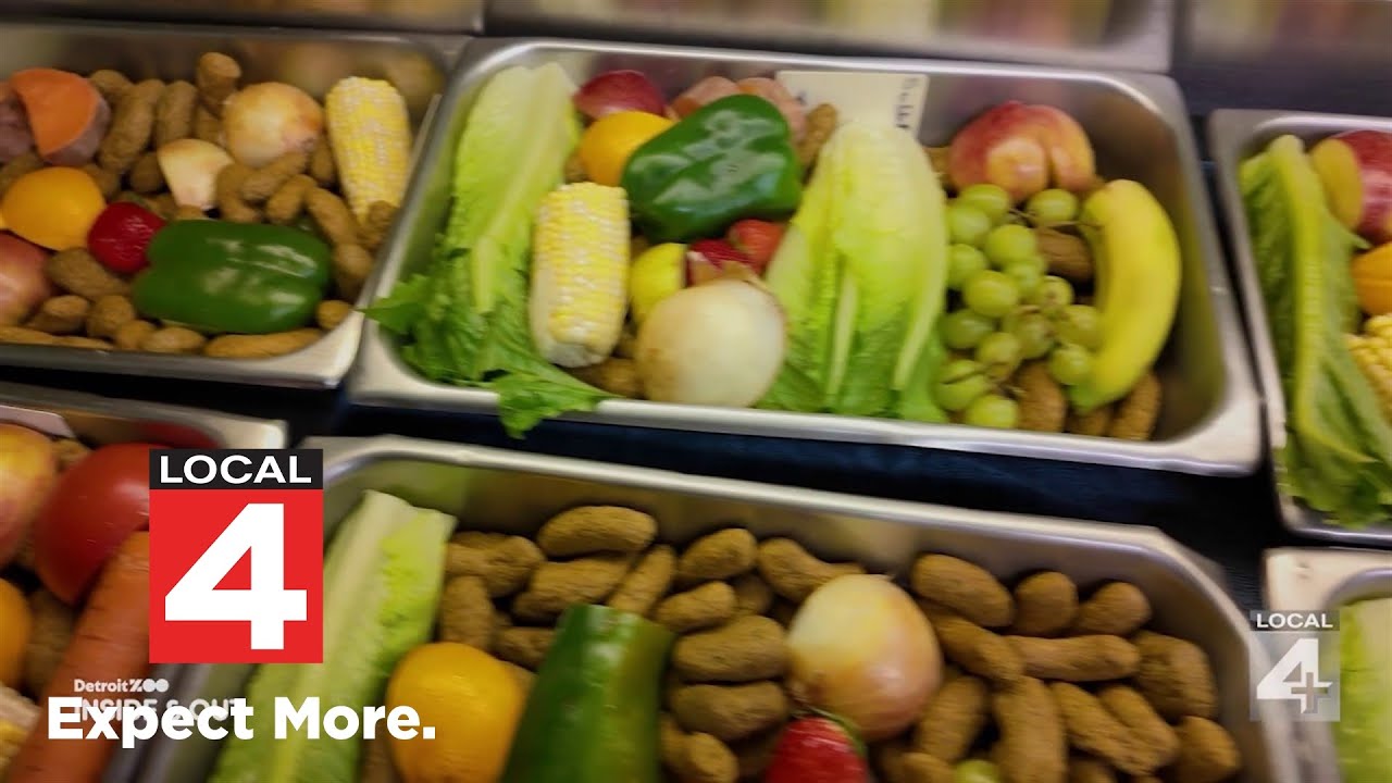 Detroit Zoo: Inside & Out -- what it takes to feed all these animals