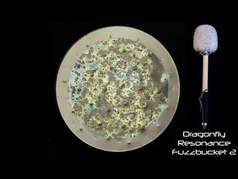 Ryan Shelledy -  30" Sonographica Gong (#BFV920) | Gongs Unlimited
