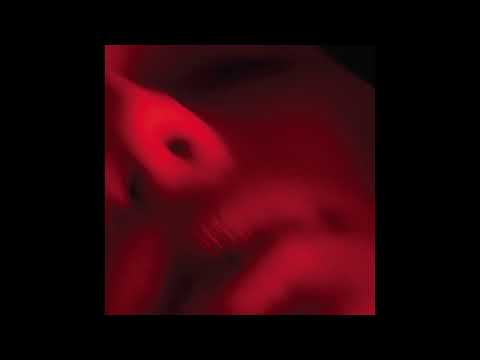 Plants Army Revolver - Alpaca Vision [AVN036]